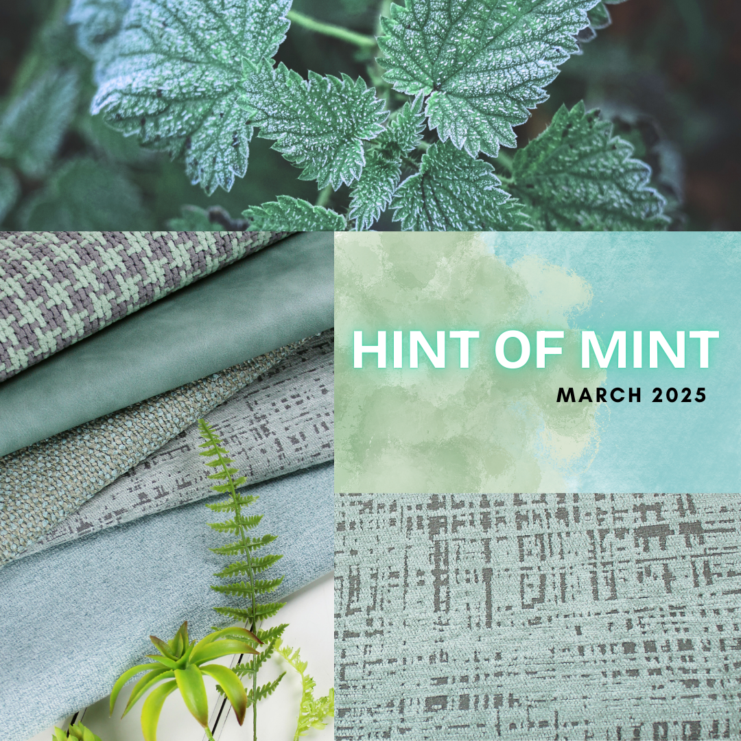 March 2025 Color of the Month: 🌿 Hint of Mint