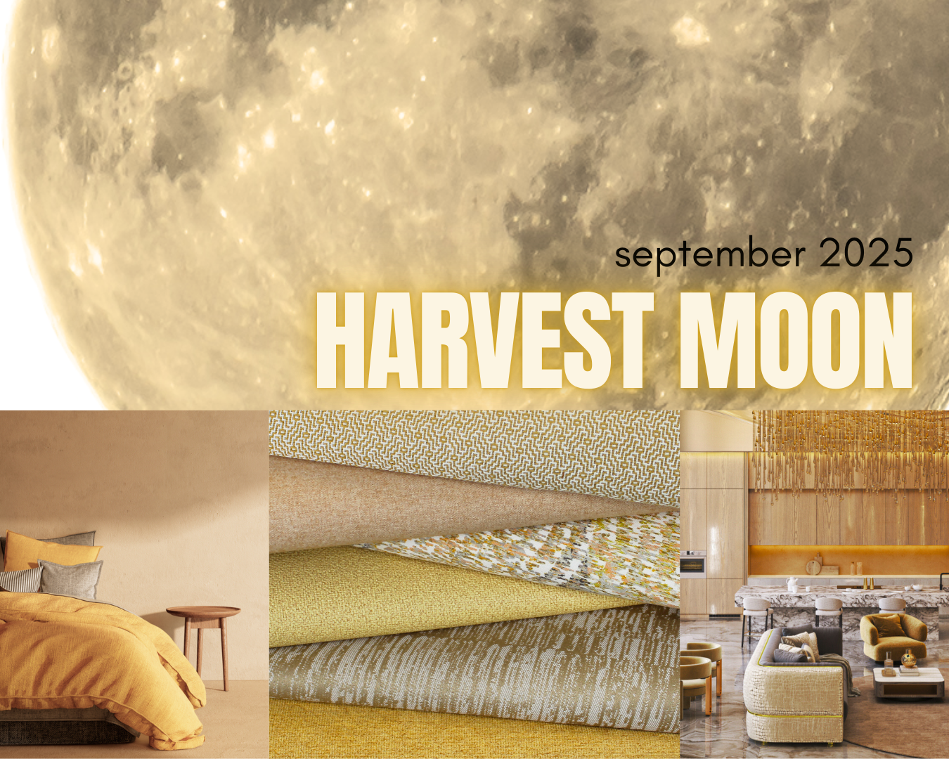 September 2025 Color of the Month: Harvest Moon